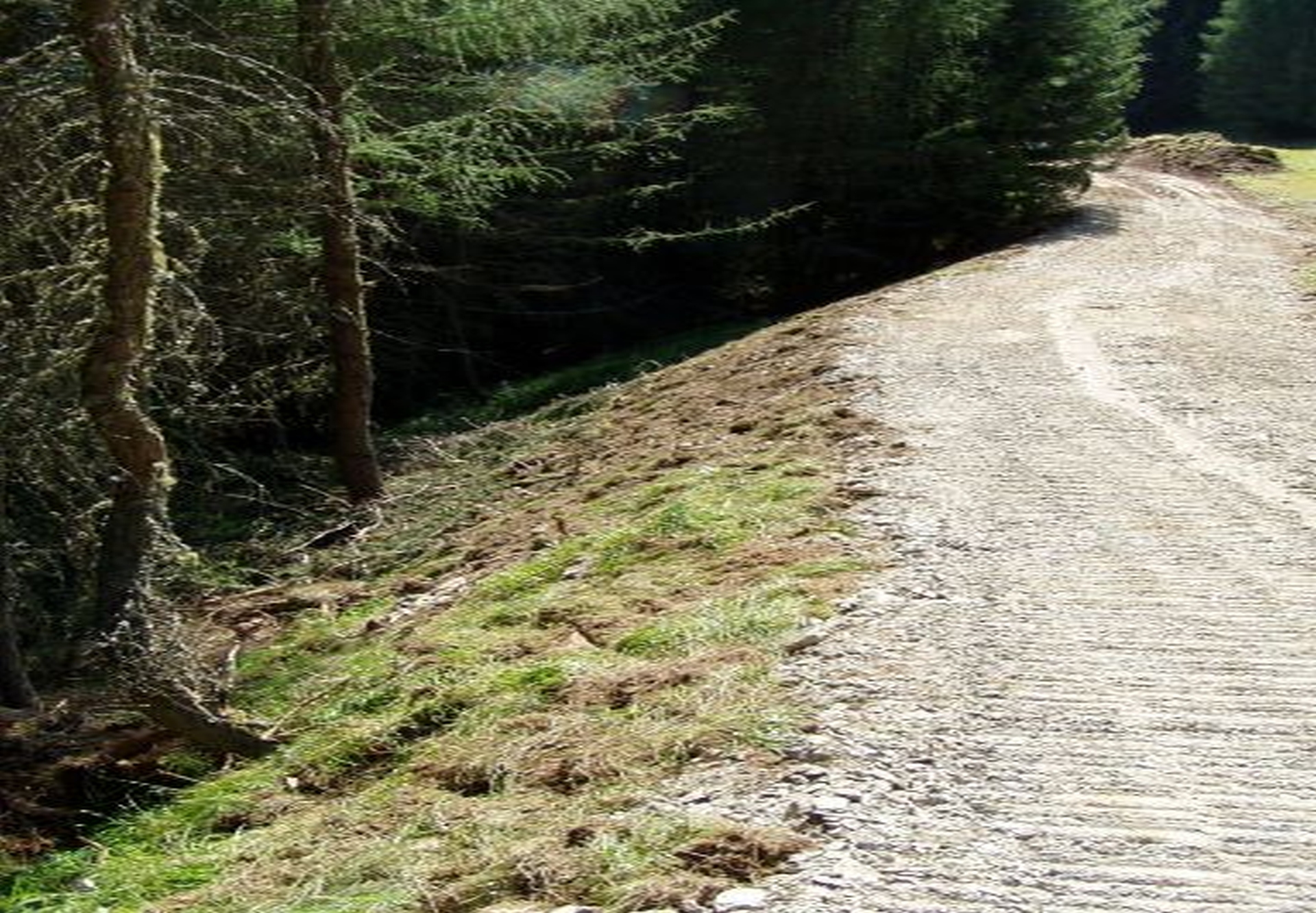 Forstweg | Land Tirol